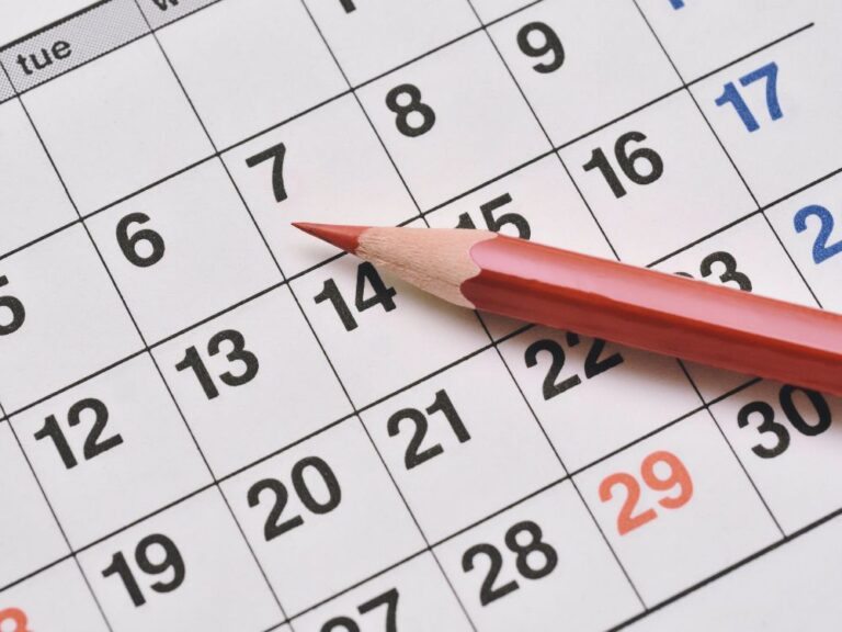 Marcar Consulta Online SUS: Conheça o Conecte SUS - Portal Pis Pasep